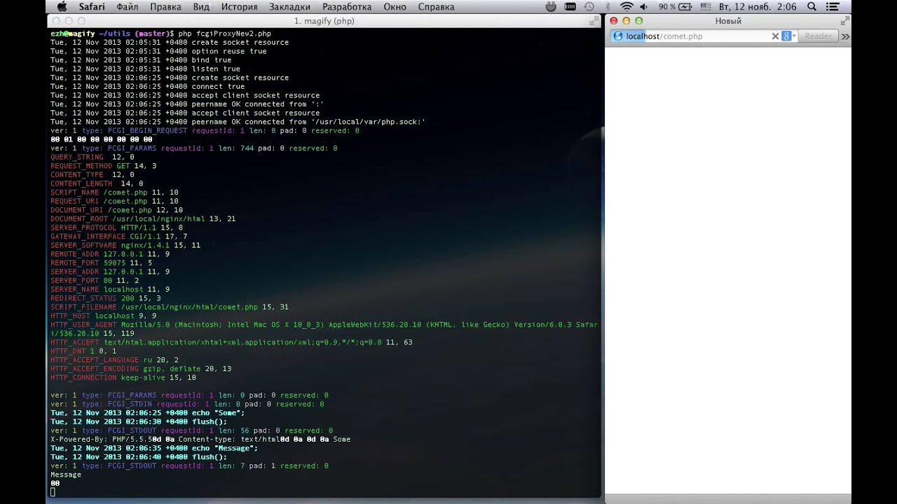 How nginx talks to php-fpm using FastCGI protocol - YouTube