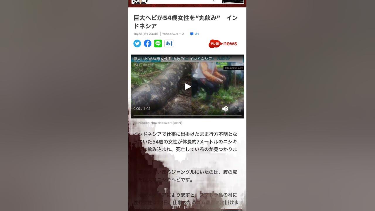 行方不明の54歳女性ニシキヘビの胃袋中から遺体で発見! Youtube