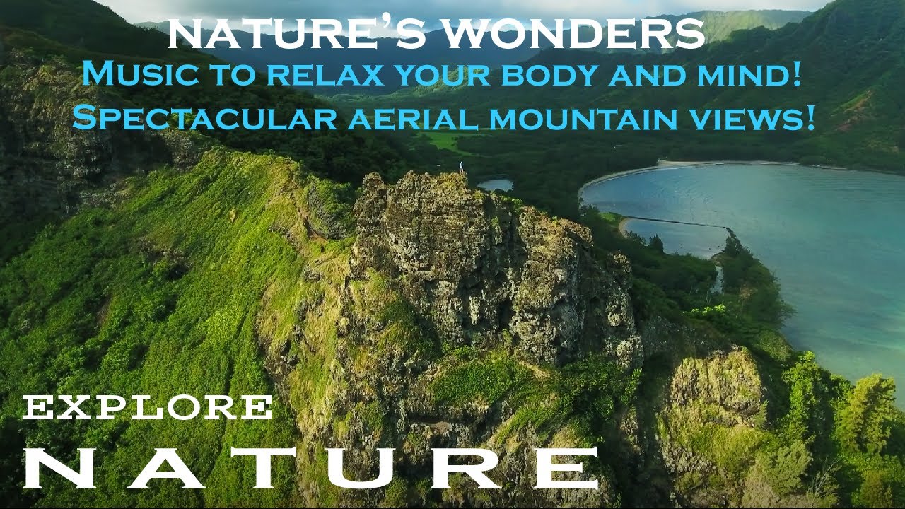 How to relax your mind quickly | Watch this calming music video ...