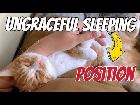 Ungraceful sleeping position！ - YouTube
