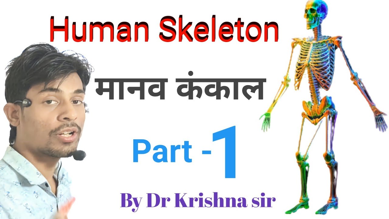 Human Skeleton Part 1 | Skeleton System | NEET 2024 |NEET pg |मानव ...