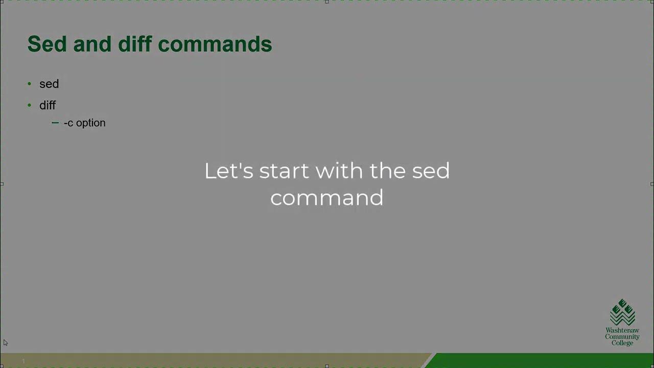 Linux Fundamentals: 9.2 sed and diff commands - YouTube