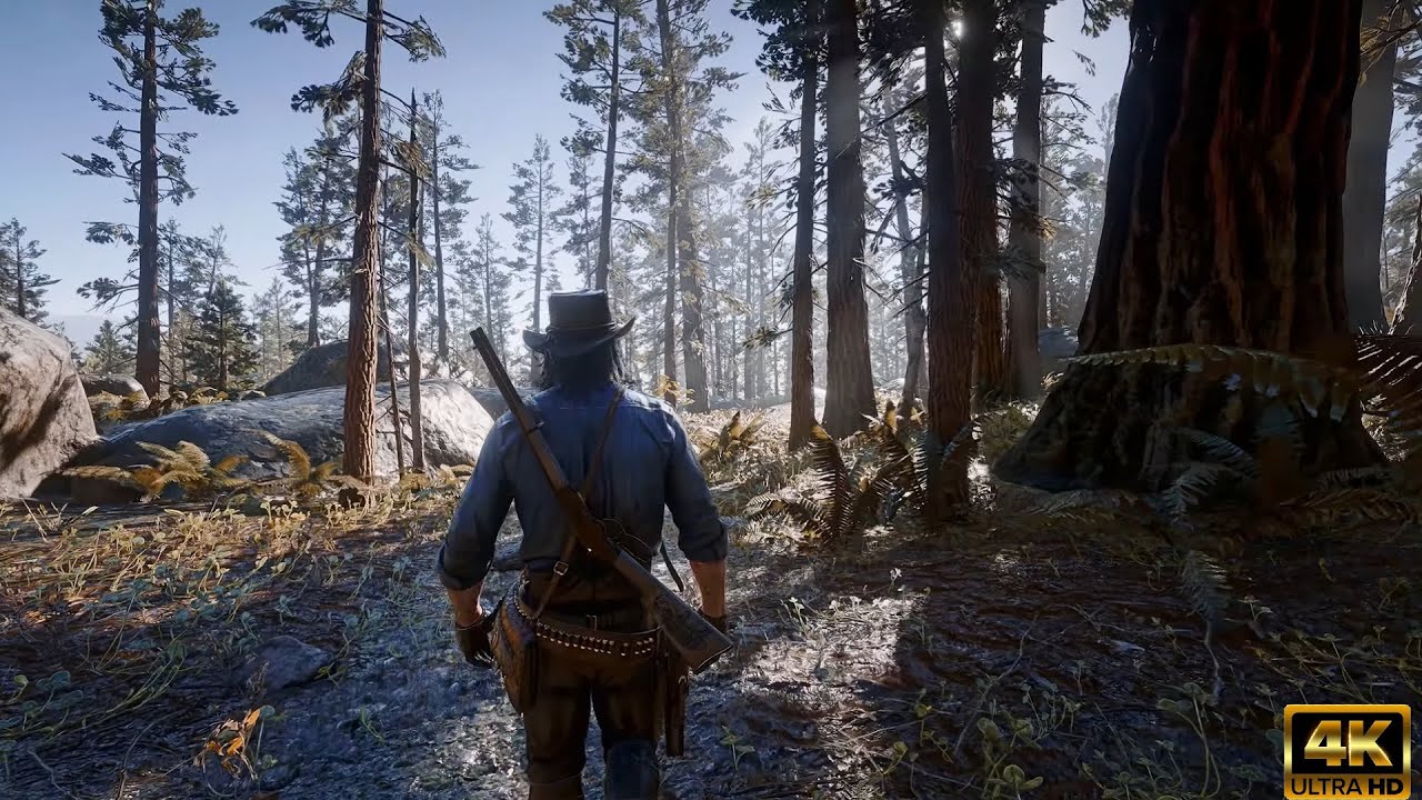 [4K60FPS] Red Dead Redemption 2 Realistic ReShade Graphic | Preset ...