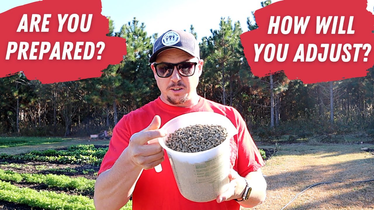 Why Are Fertilizers So Expensive?! - YouTube