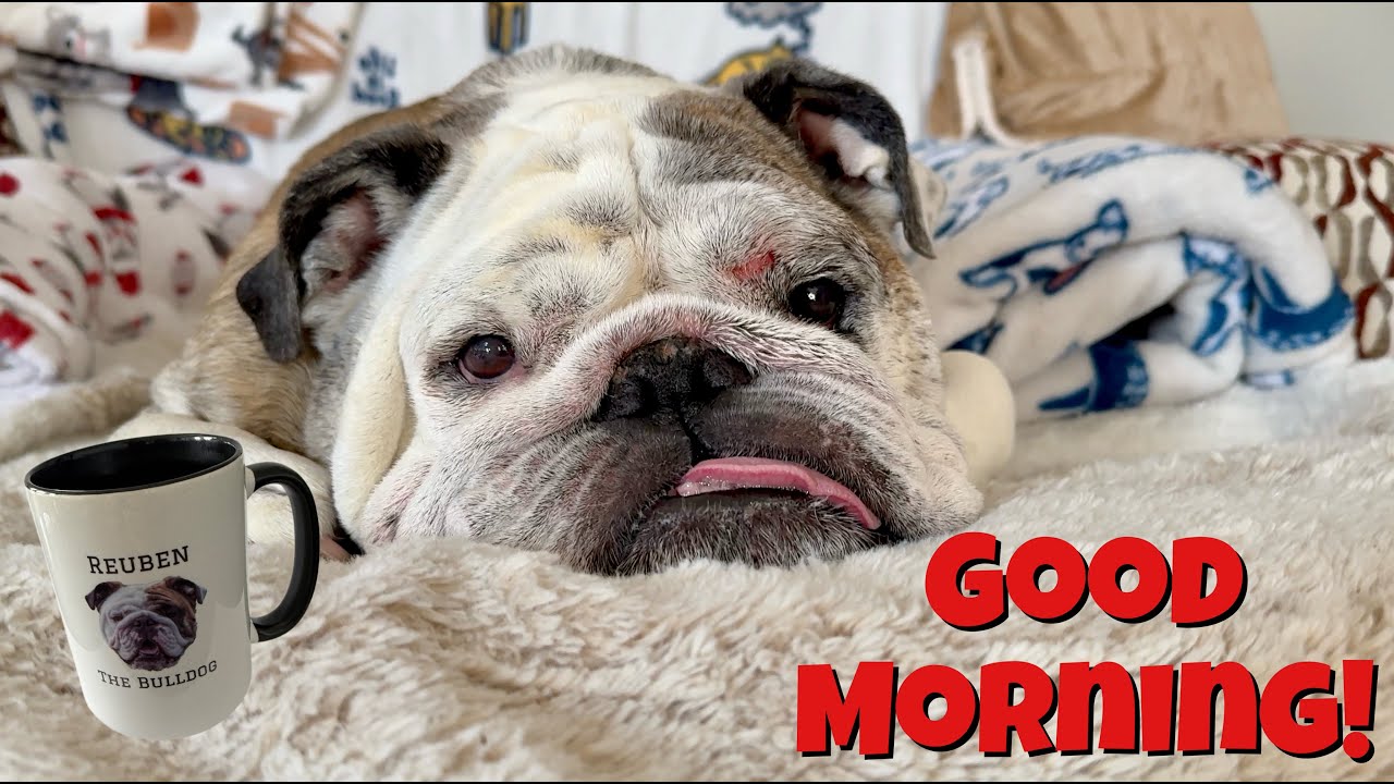 Coffee With Reuben - YouTube