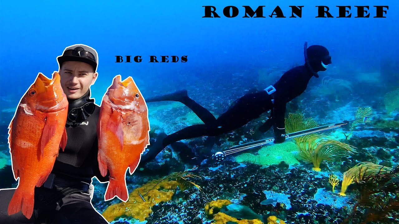 Roman reefs - Spearfishing false bay, South Africa - YouTube