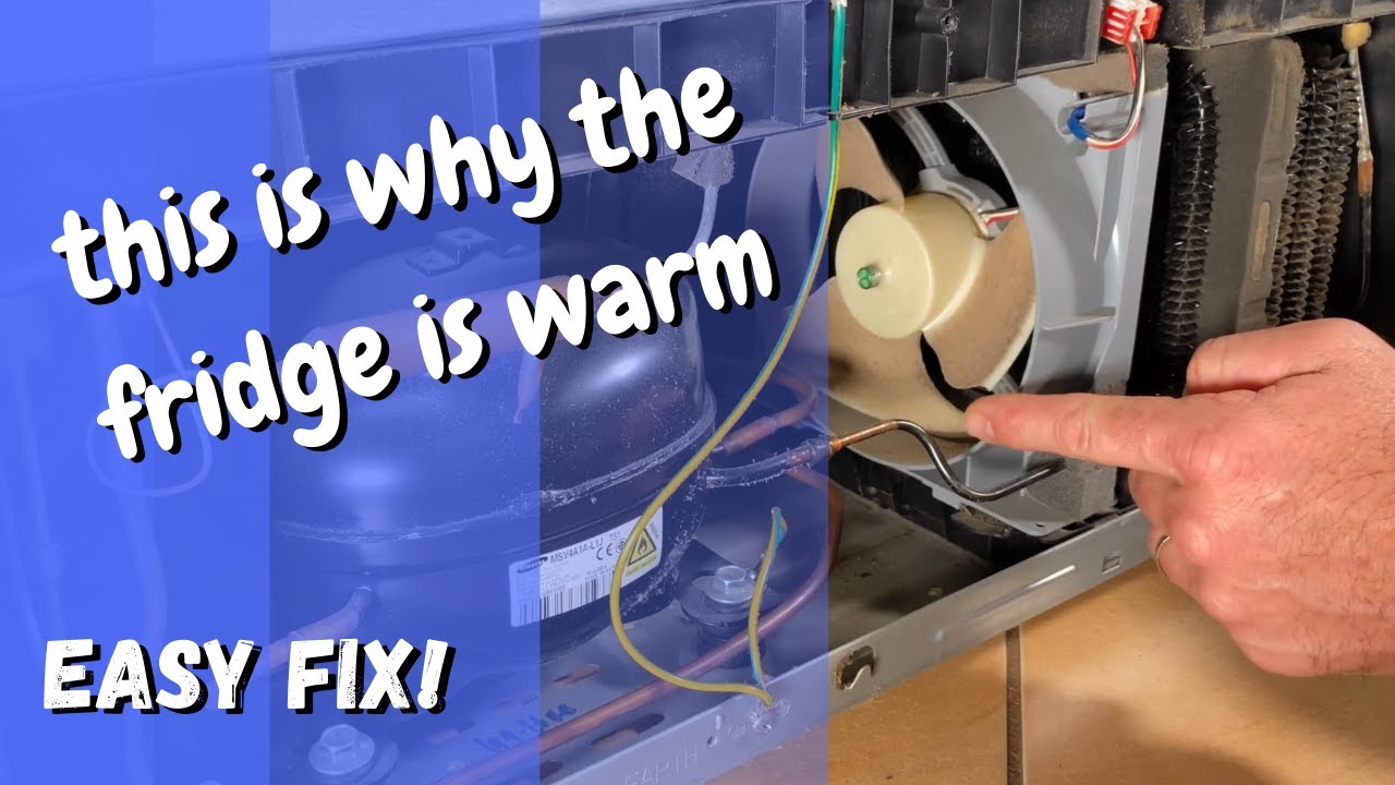 An easy maintenance clean to fridge condenser - Inspire DIY Kent Thomas ...