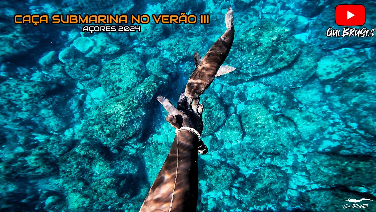 Fotografia Submarina Como Conseguir Todas Las Criaturas Submarinas