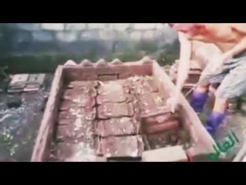 MEZAR SONSUZLUĞUN KAPISIDIR / KABİR AZABI