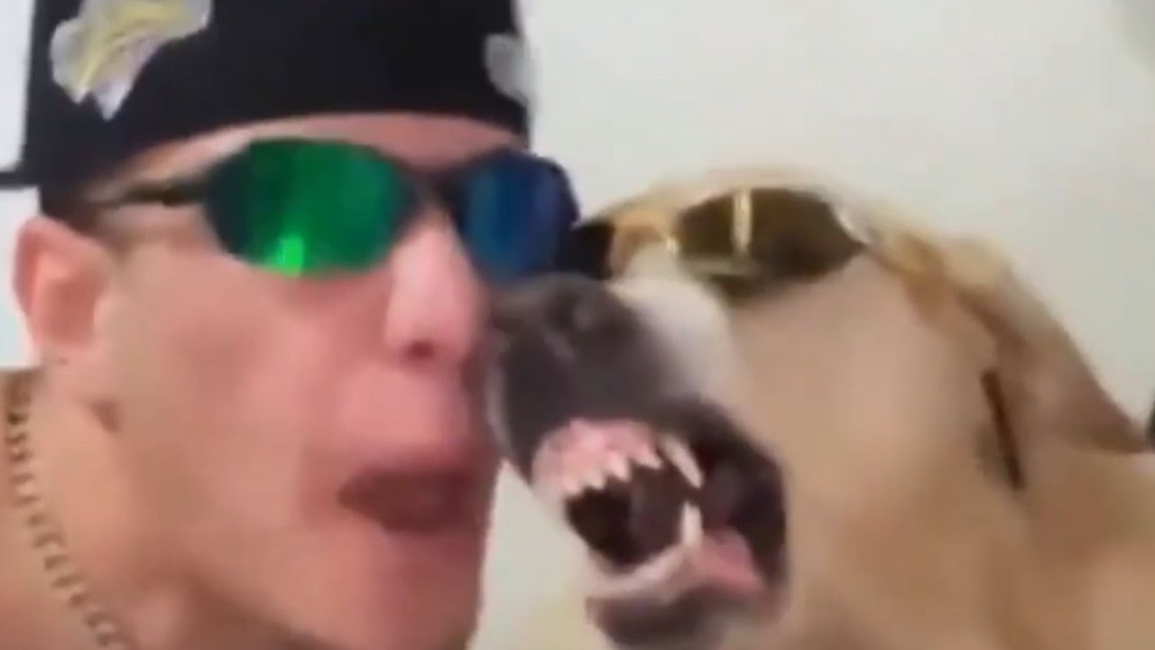 meme comp part 10 - YouTube