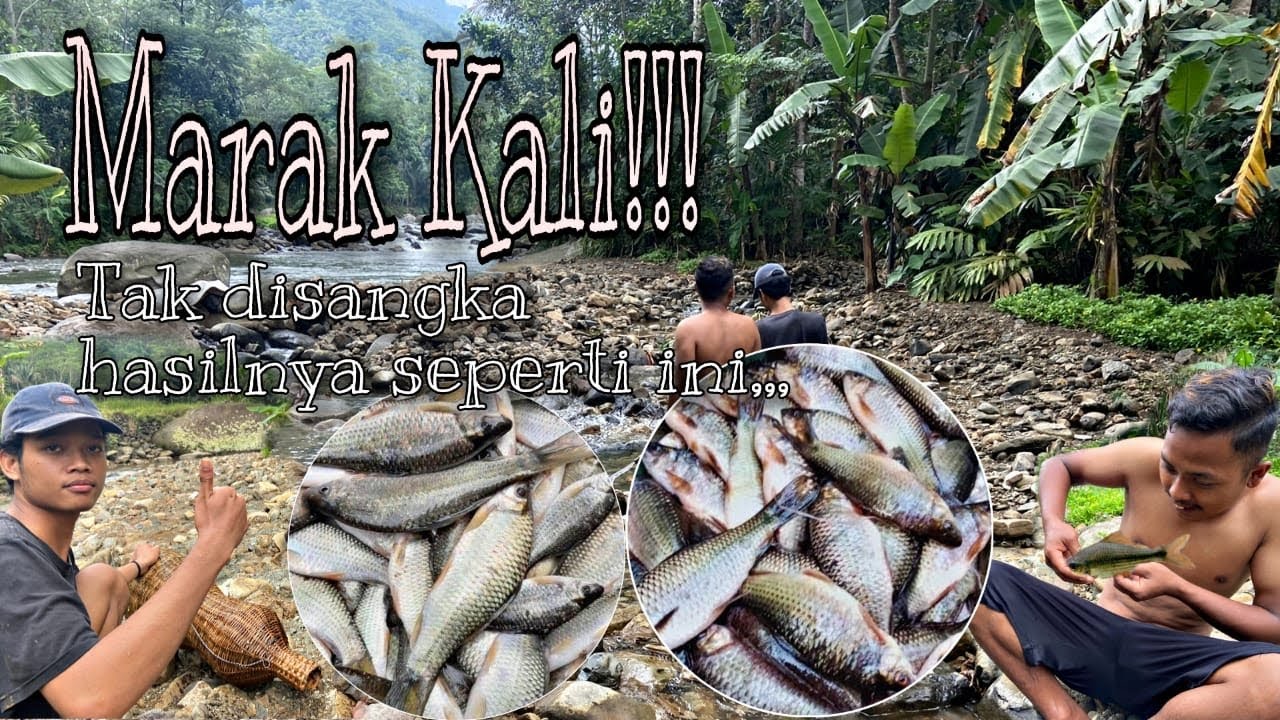 Mencari Ikan Dengan Cara Marak || Hasilnya Seperti Ini - YouTube