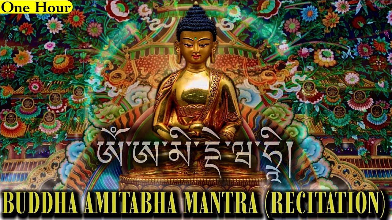 ☸Buddha Amitabha Mantra(One Hour)ཨོཾ་ཨ་མི་དྡེ་ཝ་ཧྲཱི།|Powerful Mantra ...
