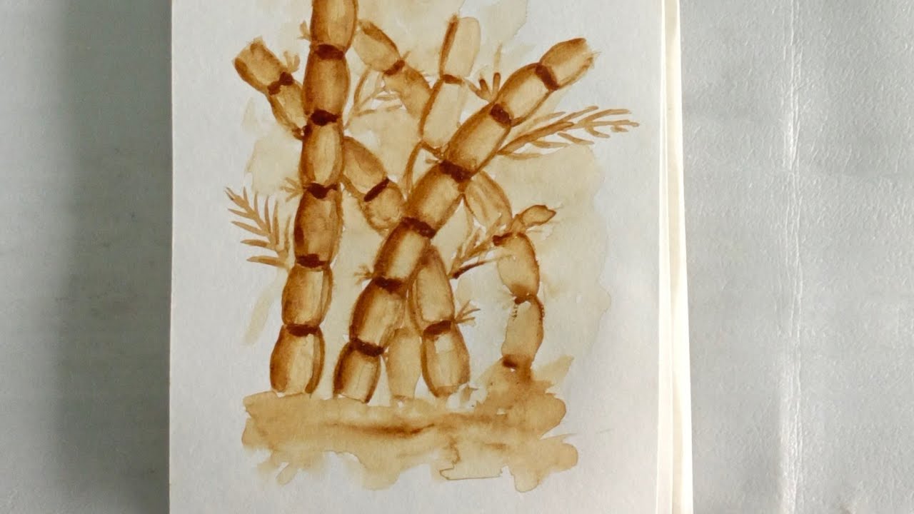 Bamboo tree coffee painting easy #drawing #painting - YouTube