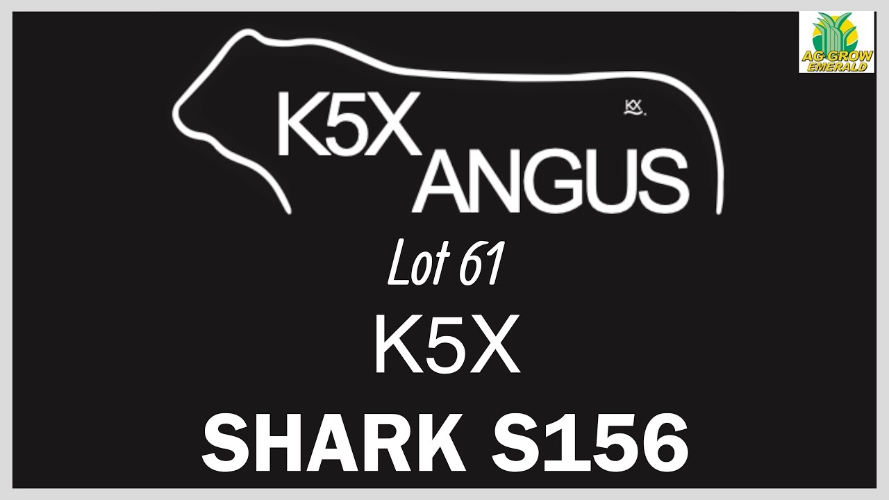 Lot 61 K5X Shark S156 - YouTube