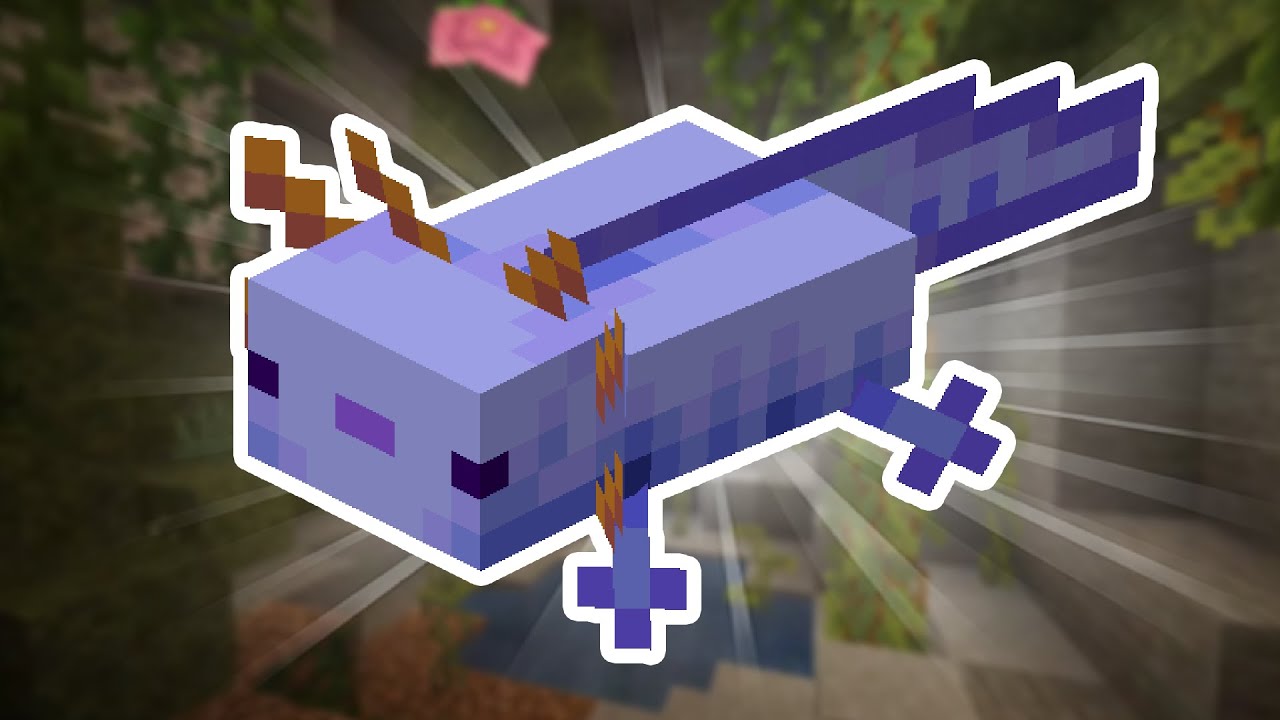 Minecraft AXOLOTL und alles was du wissen musst! - YouTube