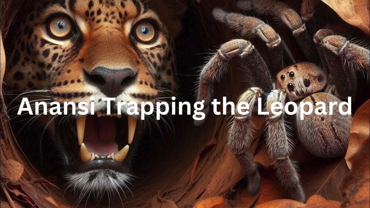 "Anansi and the Box of Stories: A Tale of Cunning and Wisdom | African ...