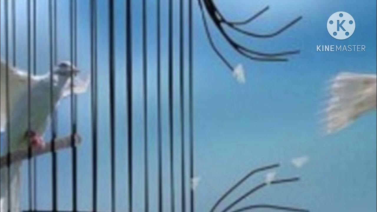 J. Prévert, Paroles, “Pour toi mon amour”, 1946. - YouTube