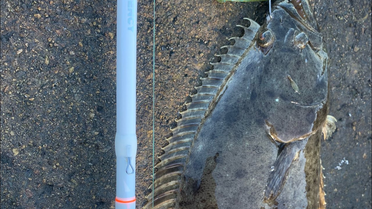 Fishing Long Beach on my days off . (Corbina,smelt,spotted bay bass ...