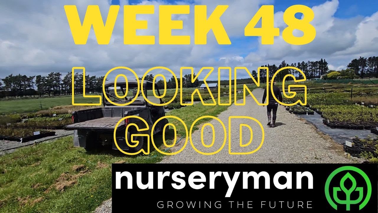 2023 Week 48 Looking Good - YouTube