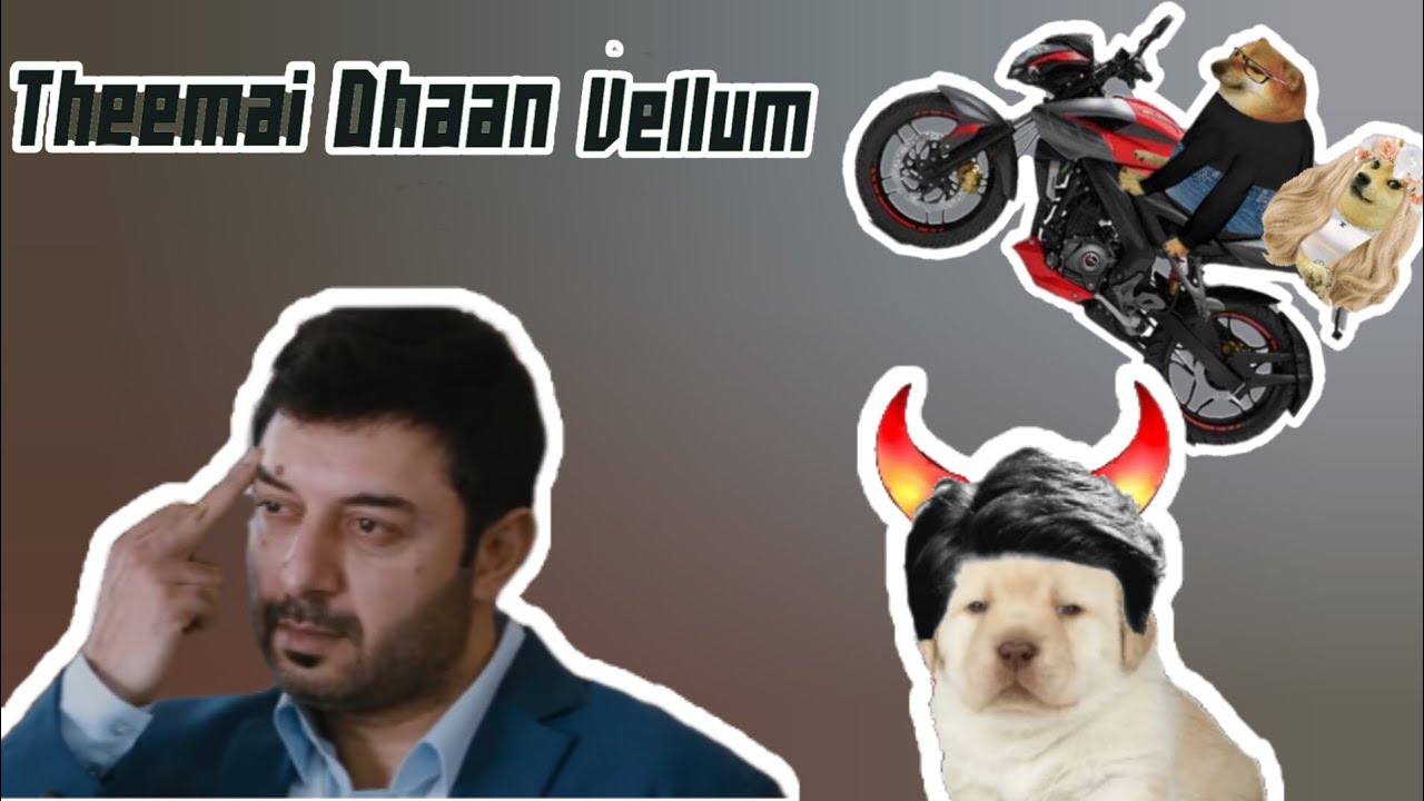 Killer Perro 😈👿 | cheems fun | tamil comedy videos | funny vlogs - YouTube