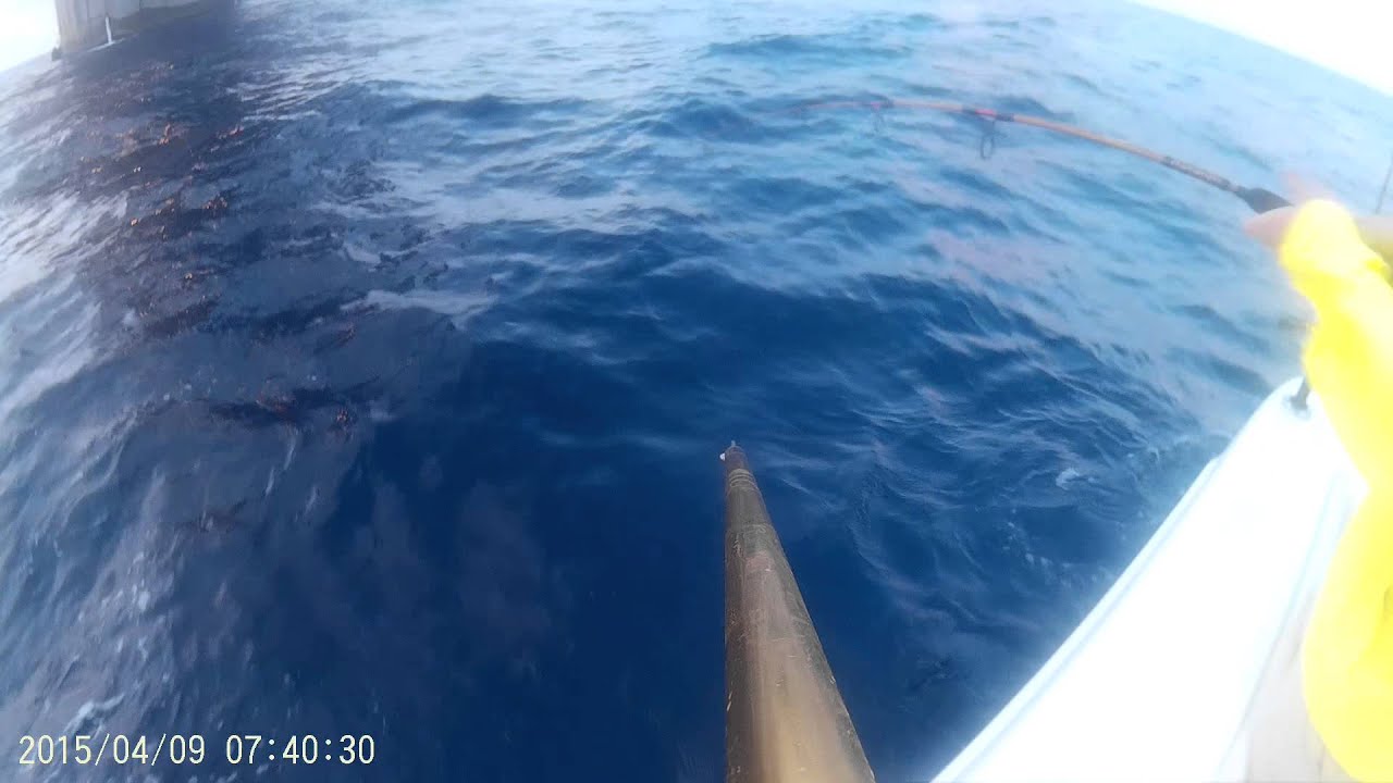 Gulf Shores - Fort Morgan Oil Rig Tuna Fishing - YouTube