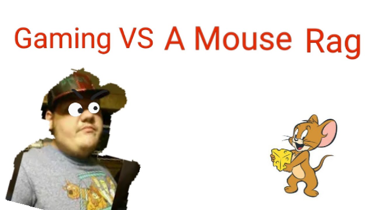 Gaming VS A Mouse Rag - YouTube