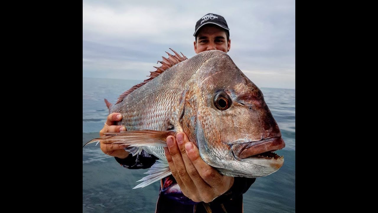 SNAPPER FISHING | Port Phillip Bay - YouTube
