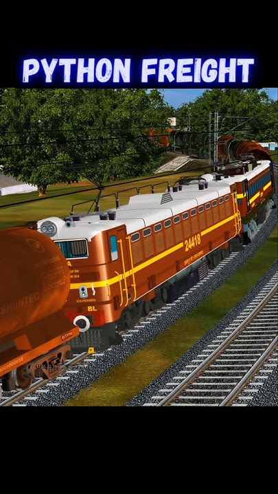 Spotting a Rare Python Freight Train at Itarsi Junction | Indian ...