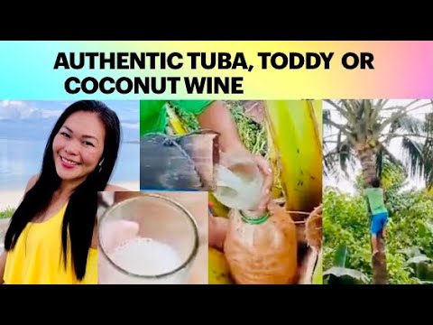 HOW TO MAKE AUTHENTIC TUBA, TODDY OR COCONUT WINE FROM THE COCONUT TREE ...
