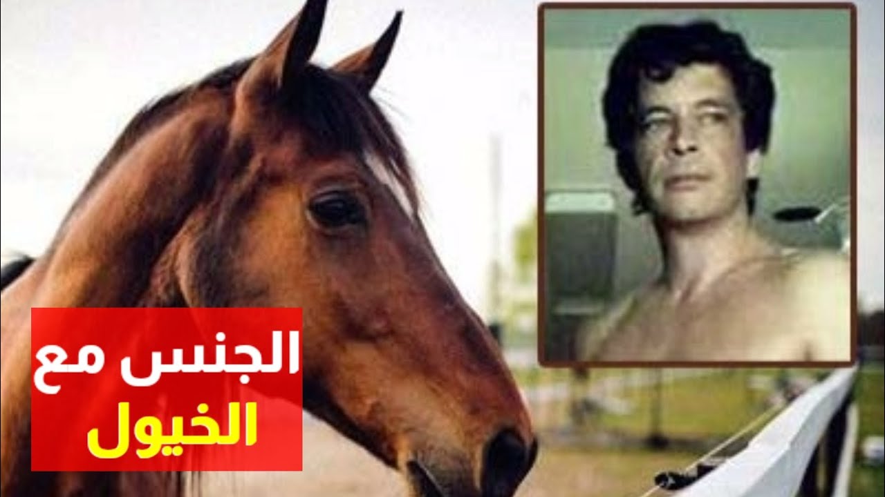الجنس مع الخيول القصة التي صدمت سكان أمريكا والاغرب في التاريخ Youtube