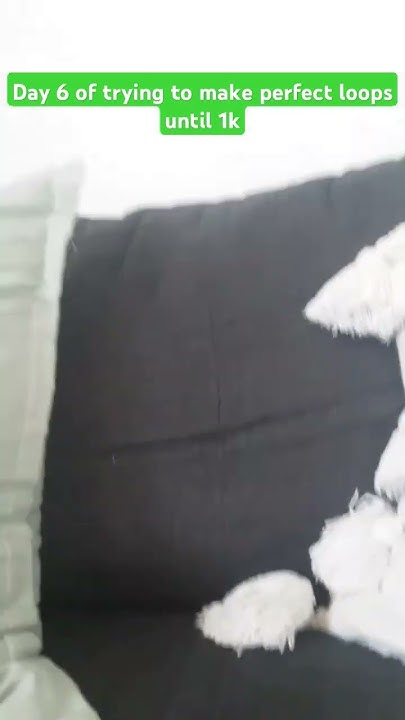 Day 6 of trying to make perfect loops until 1k - YouTube