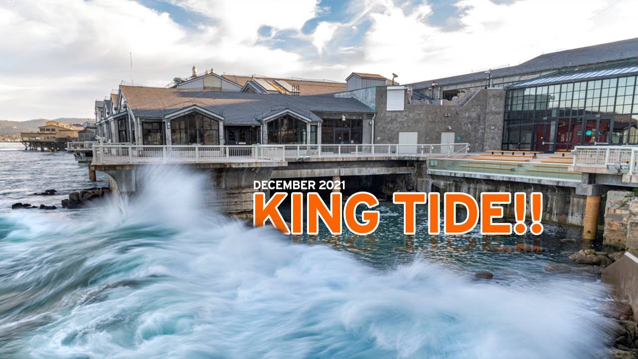 Watching the #KingTides from the Aquarium! Part 1: High Tide—Where did ...