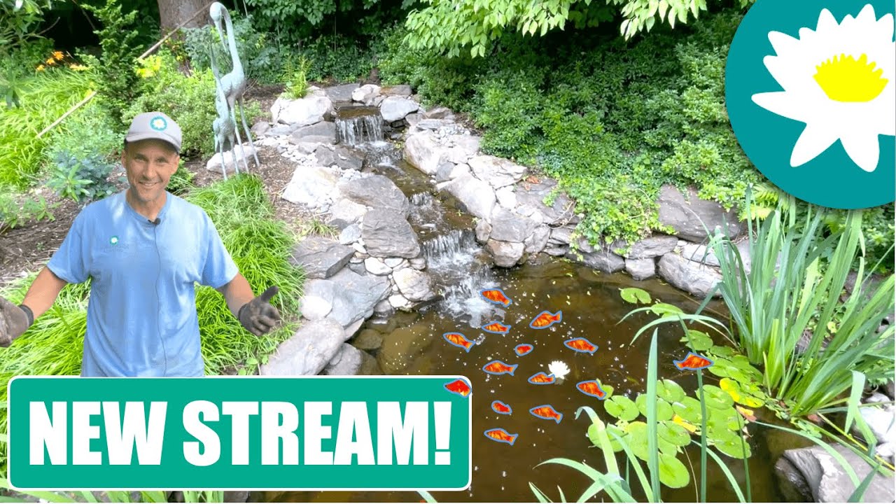 Backyard Waterfall & Stream Build | Transforming a Stream! - YouTube
