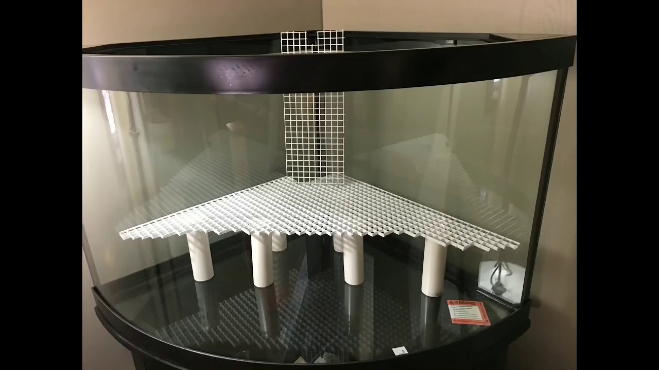 54 gal paludarium build with waterfall (DIY tutorial) - YouTube