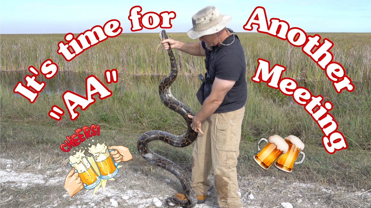 Fantastic winter python action! - YouTube