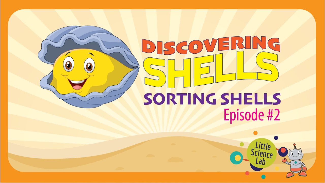Little Science Lab: Discovering Shells #2 – Sorting Shells - YouTube