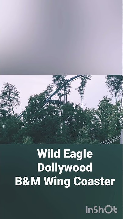 Wild Eagle Dollywood - YouTube