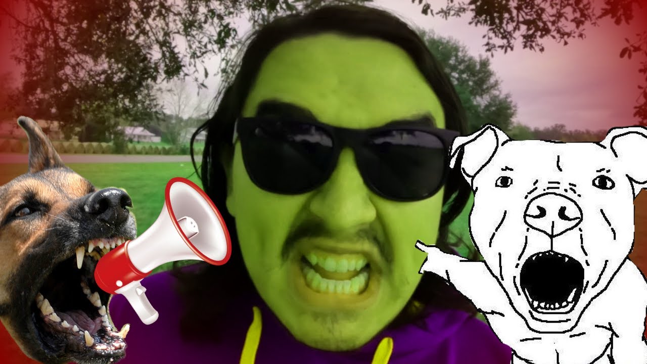 Can you people SHUT YOUR DOGS UP - YouTube