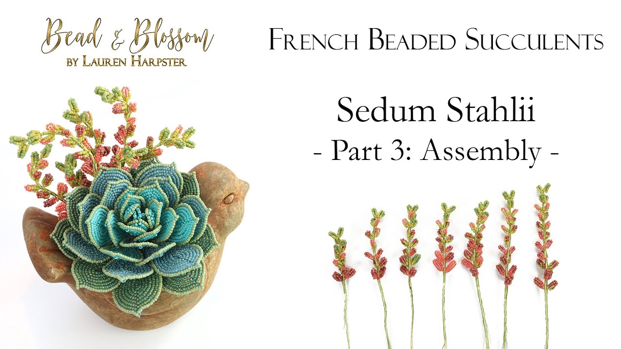 French Beaded Succulents | Sedum Stahlii Part 3 of 3: Assembly - YouTube