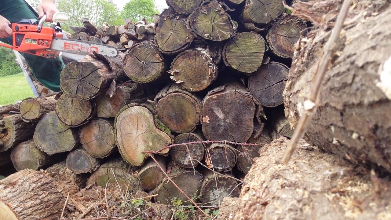 Echo CS 330 EVL chainsaw - YouTube