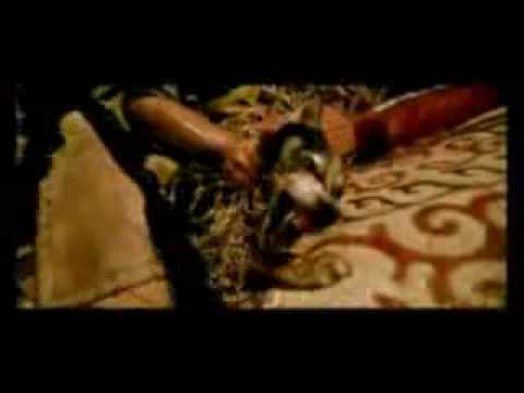 TURAN  TURAN  TURAN    bozqurd  Bozqurd  bozqurd