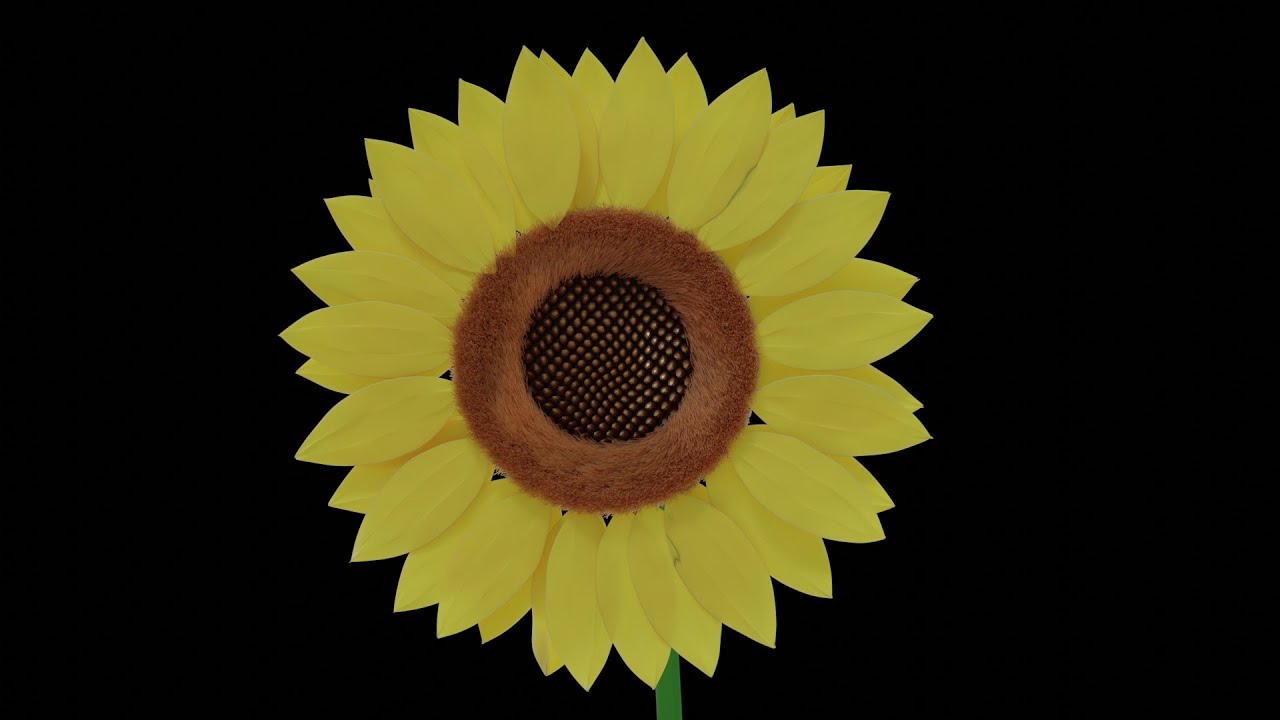 5min Blender tutorial for newbie #2 Sunflower - YouTube