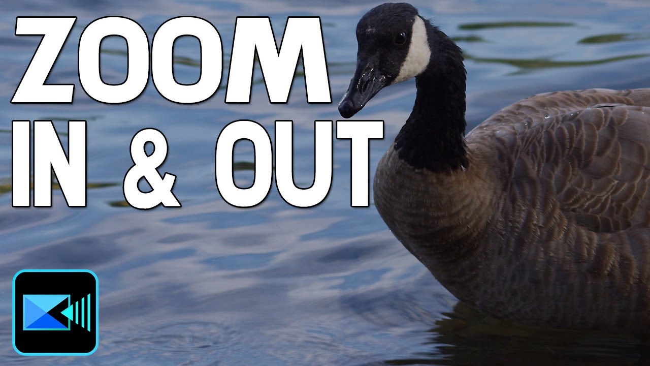 Zoom In and Out with Pan & Zoom | PowerDirector - YouTube