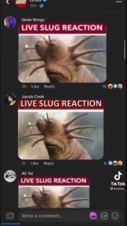 live slug reaction #shorts - YouTube