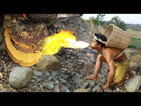 survival in the rainforest - BEE  POTATO