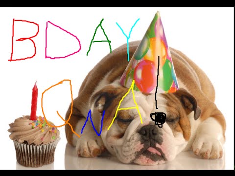 Birthday QnA - YouTube
