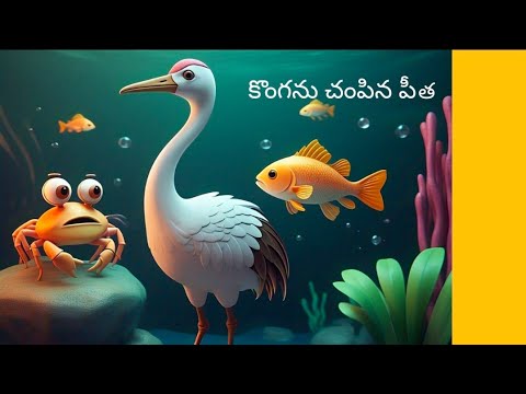 Kaki,nakka, konga,pita katha - YouTube