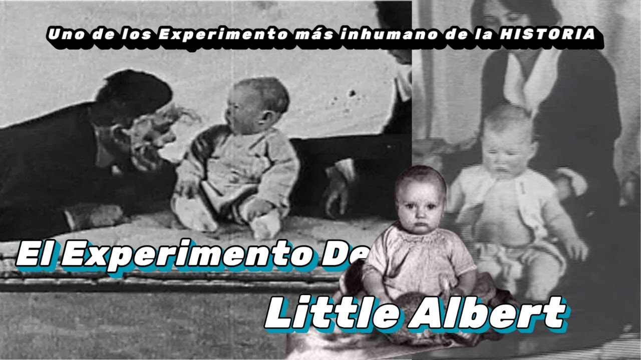¿Quién Fue Little Albert? El Caso Más Perturbador de la Psicología ...