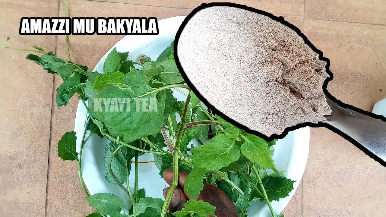 Teka Amazzi mu Mana yo Agamansuka Omusajja Akunyumirwe Eddagala Lirino ...