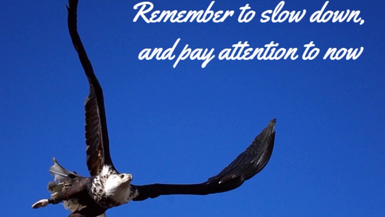 Mindfulness Mike - Mindfulness Quotes and Pictures put to Music ...